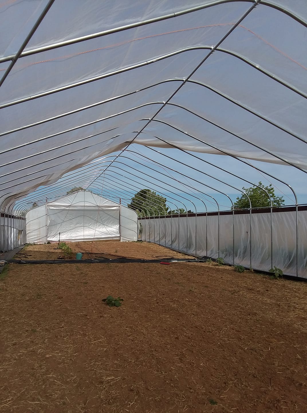 The Big Hoop-house Build – Produce with a Purpose